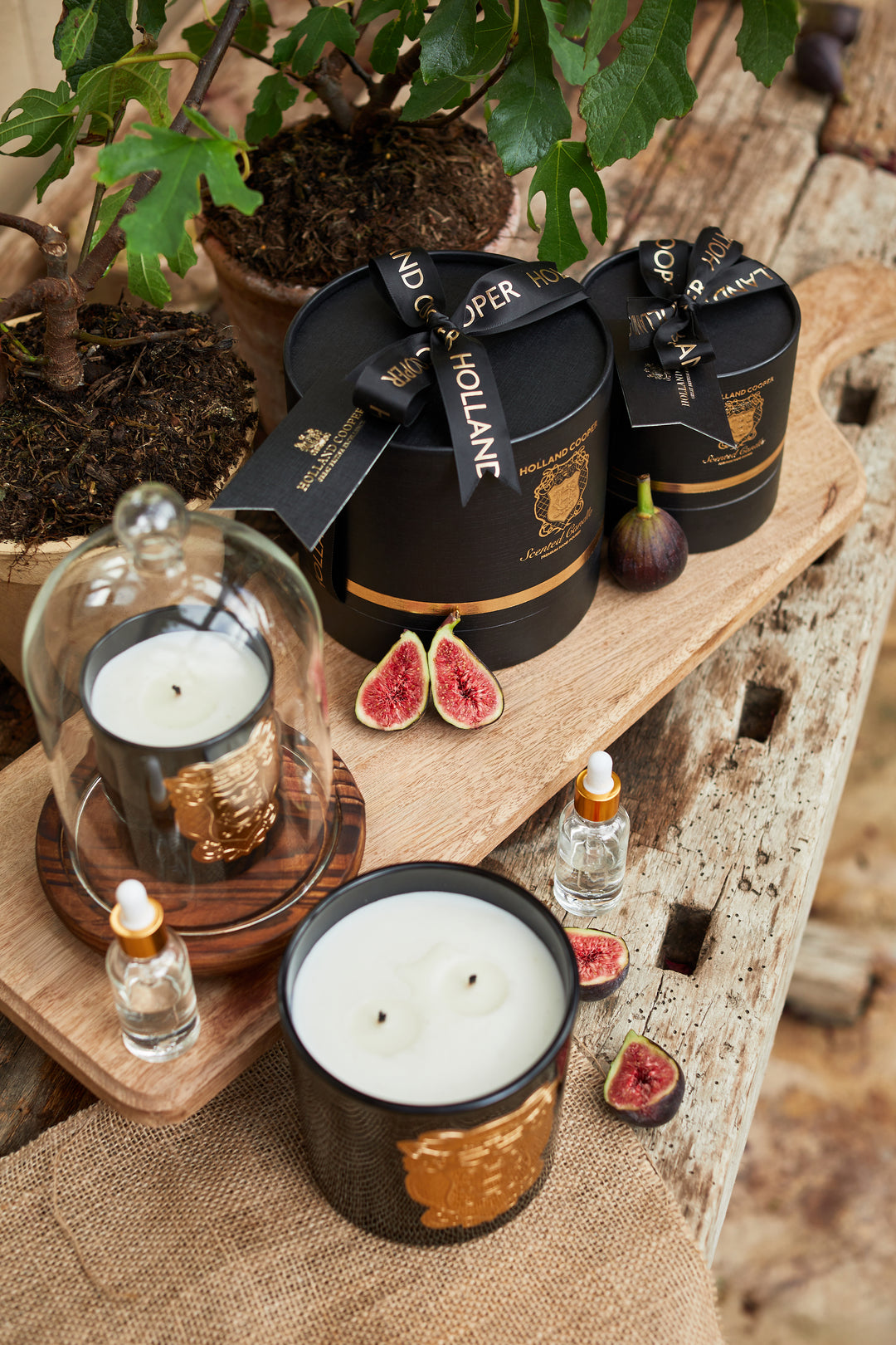 Double Wick Candle (Figue Noir) – Holland Cooper