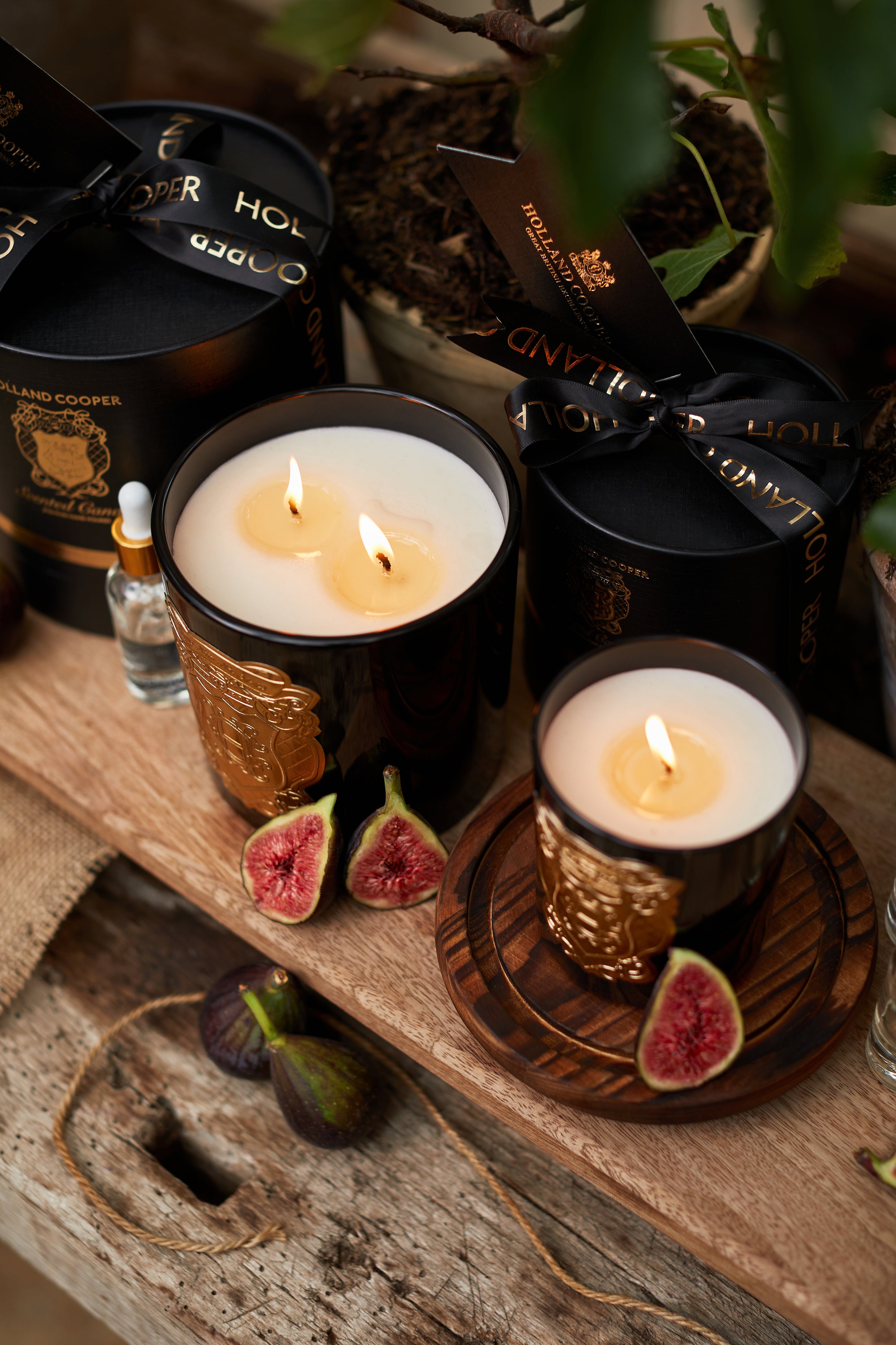Double Wick Candle (Figue Noir) – Holland Cooper
