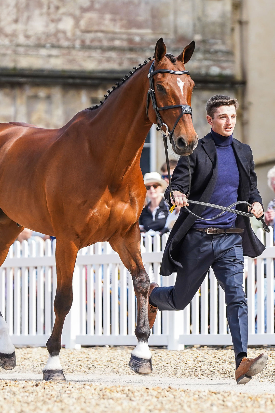 Tom Jackson's Trot Up Look One – Holland Cooper